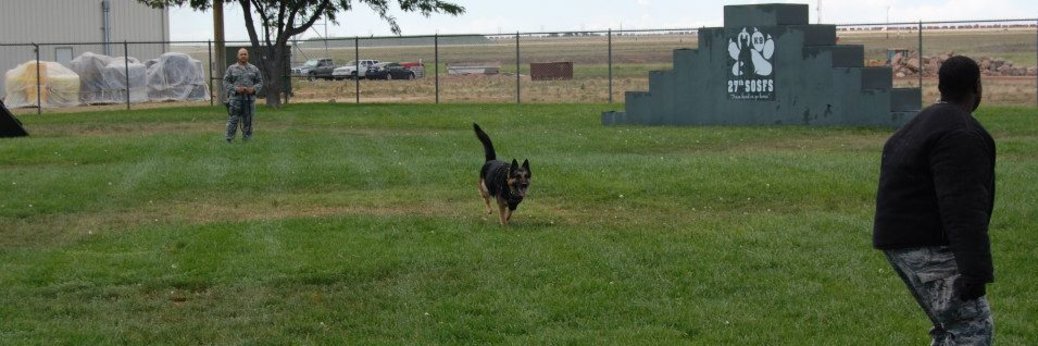 27th Special Operations Security Forces Squadron (27 SOSFS), 27th ...