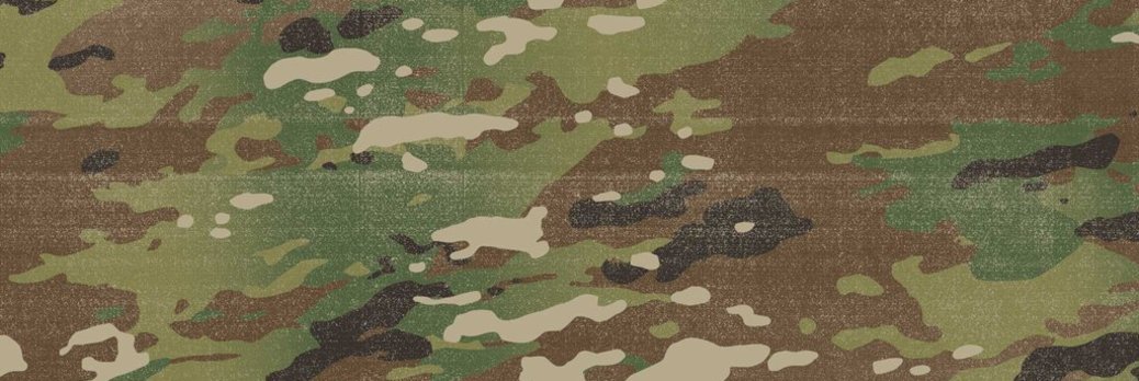 301st Information Operations Battalion (301st IO), 151st Theatre ...