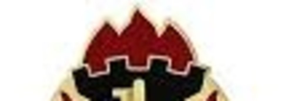 563rd Aviation Support Battalion (563rd ASB), 159th Combat Aviation ...