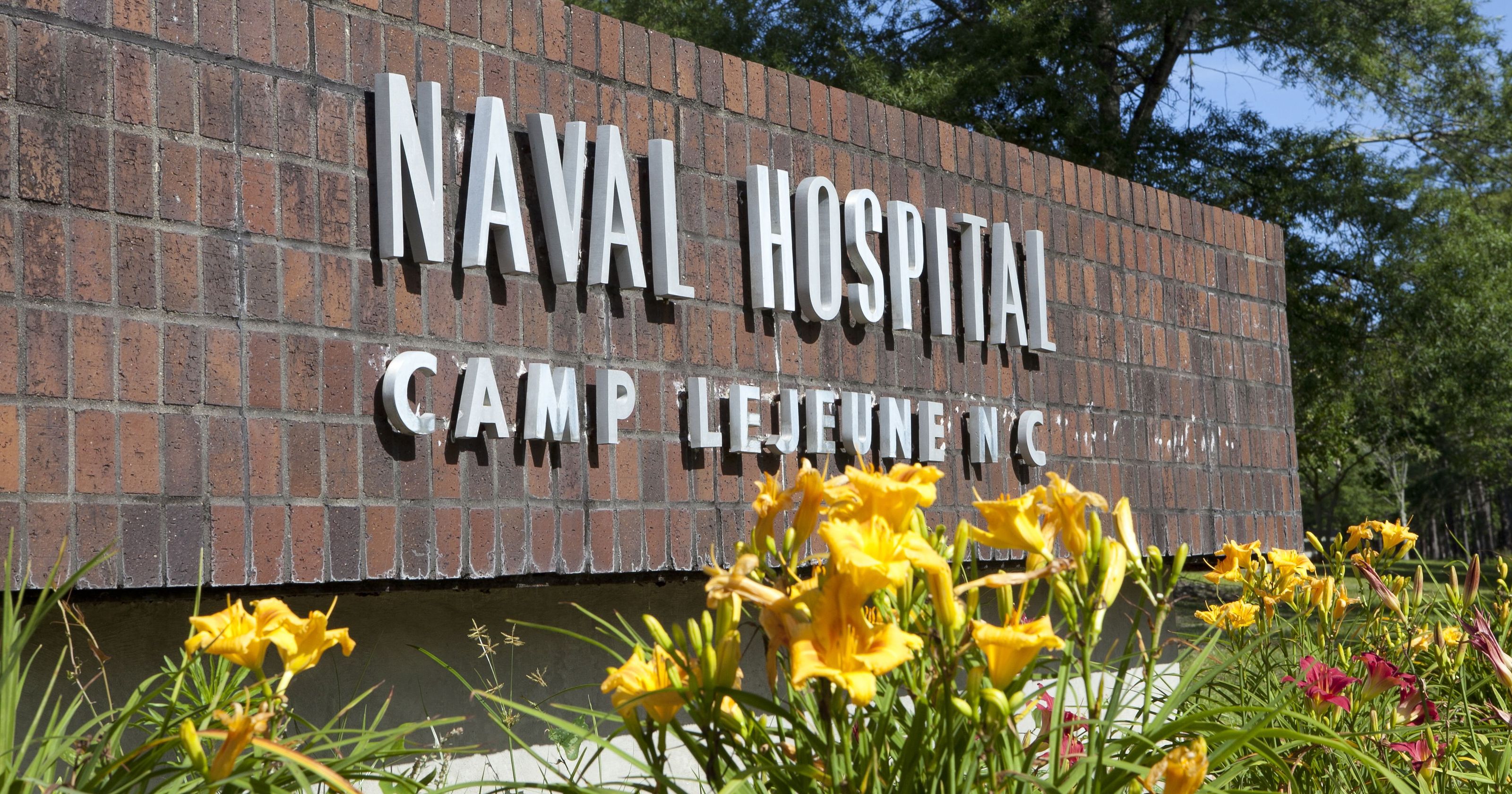 Military hospitals fill unique roles, commanders tell lawmakers ...