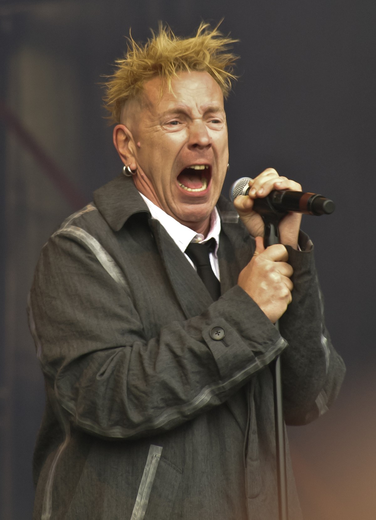 John Lydon - Wikipedia | RallyPoint