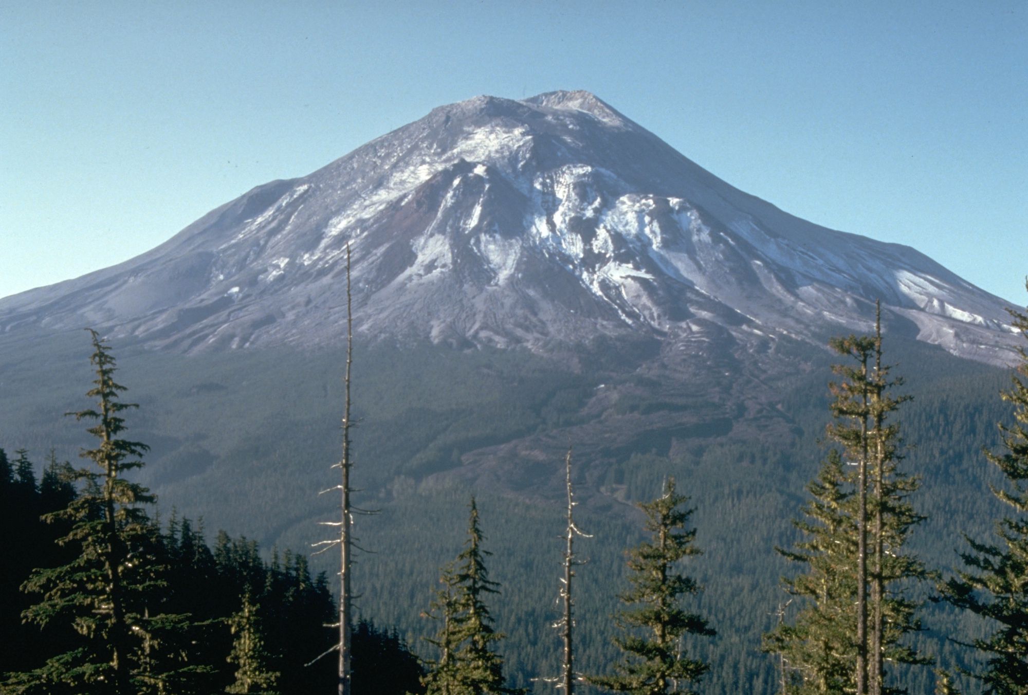 The Aftermath of Mount St. Helens' Eruption | RallyPoint