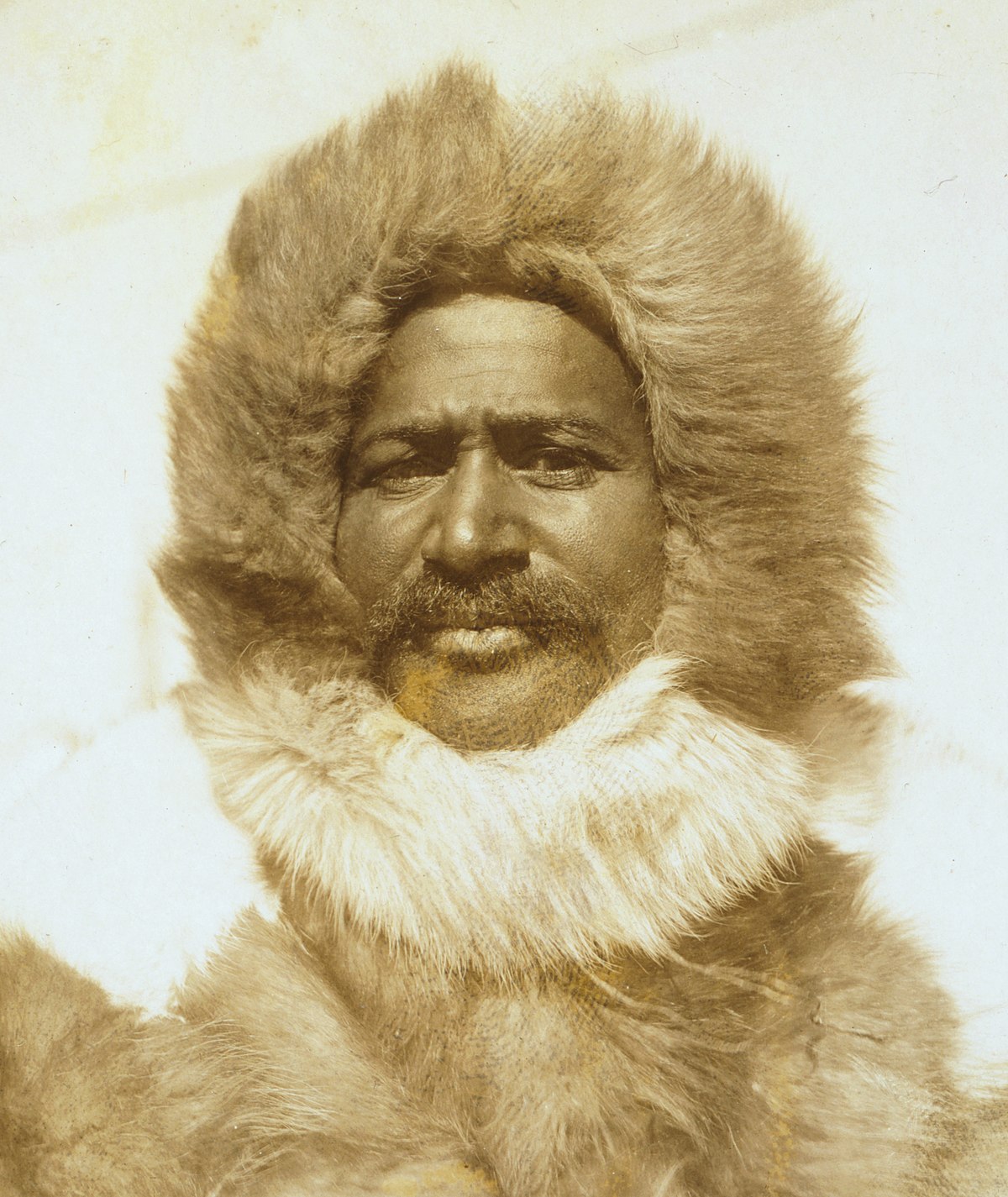 Matthew Henson Wikipedia RallyPoint Matthew Henson Wikipedia RallyPoint