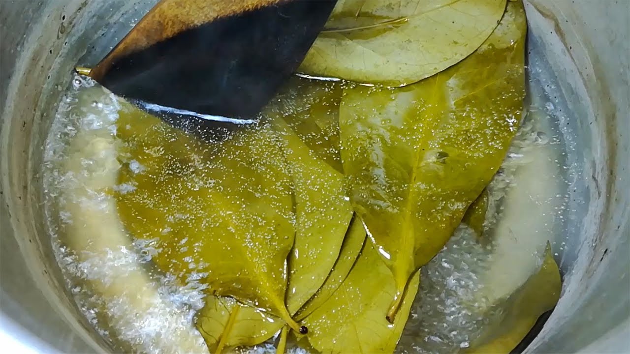 Boil these bay leaves and see what happens! | RallyPoint