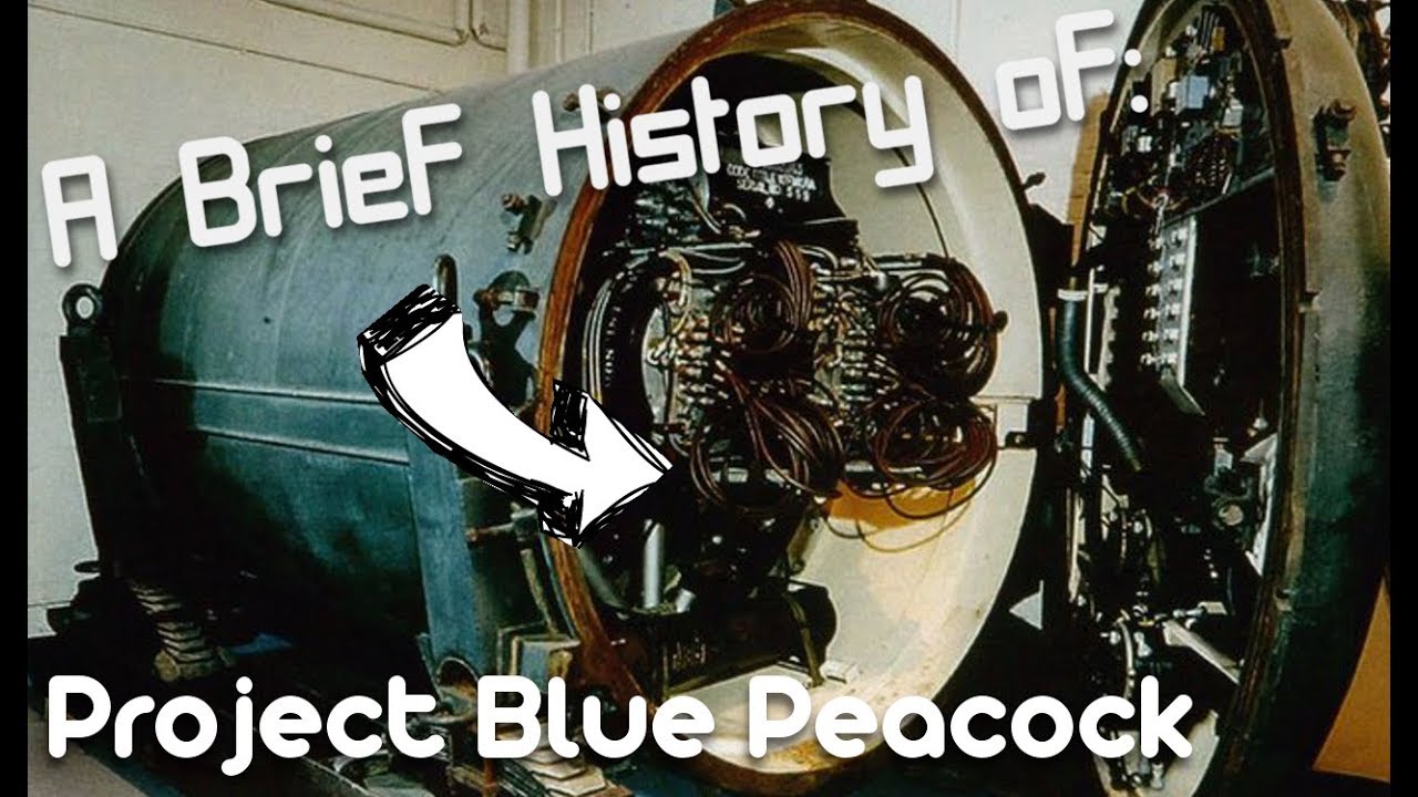 A brief History of: Project Blue Peacock | RallyPoint