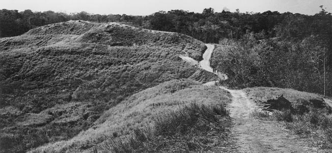 A Defiant Stand During the Battle at Bloody Ridge - Warfare History ...