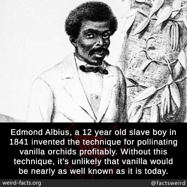 Edmond Albius, the 12 year old slave, who made the ‘most significant ...