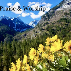 Praise & Worship 01: Individual Praise - True Patriot Ministries ...