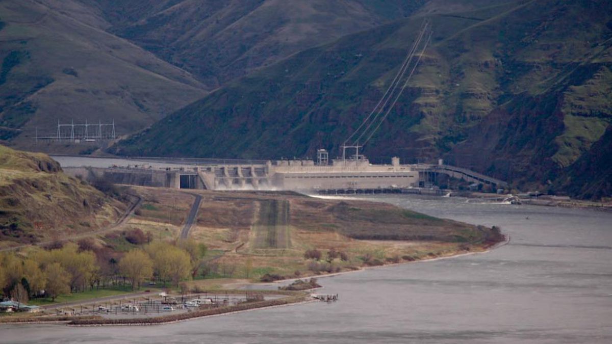 With Snake River spring, summer Chinook on a ‘quasi-extinction ...