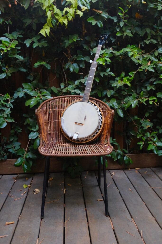 The 20 Best Banjo Players of All Time | Acoustic World | RallyPoint
