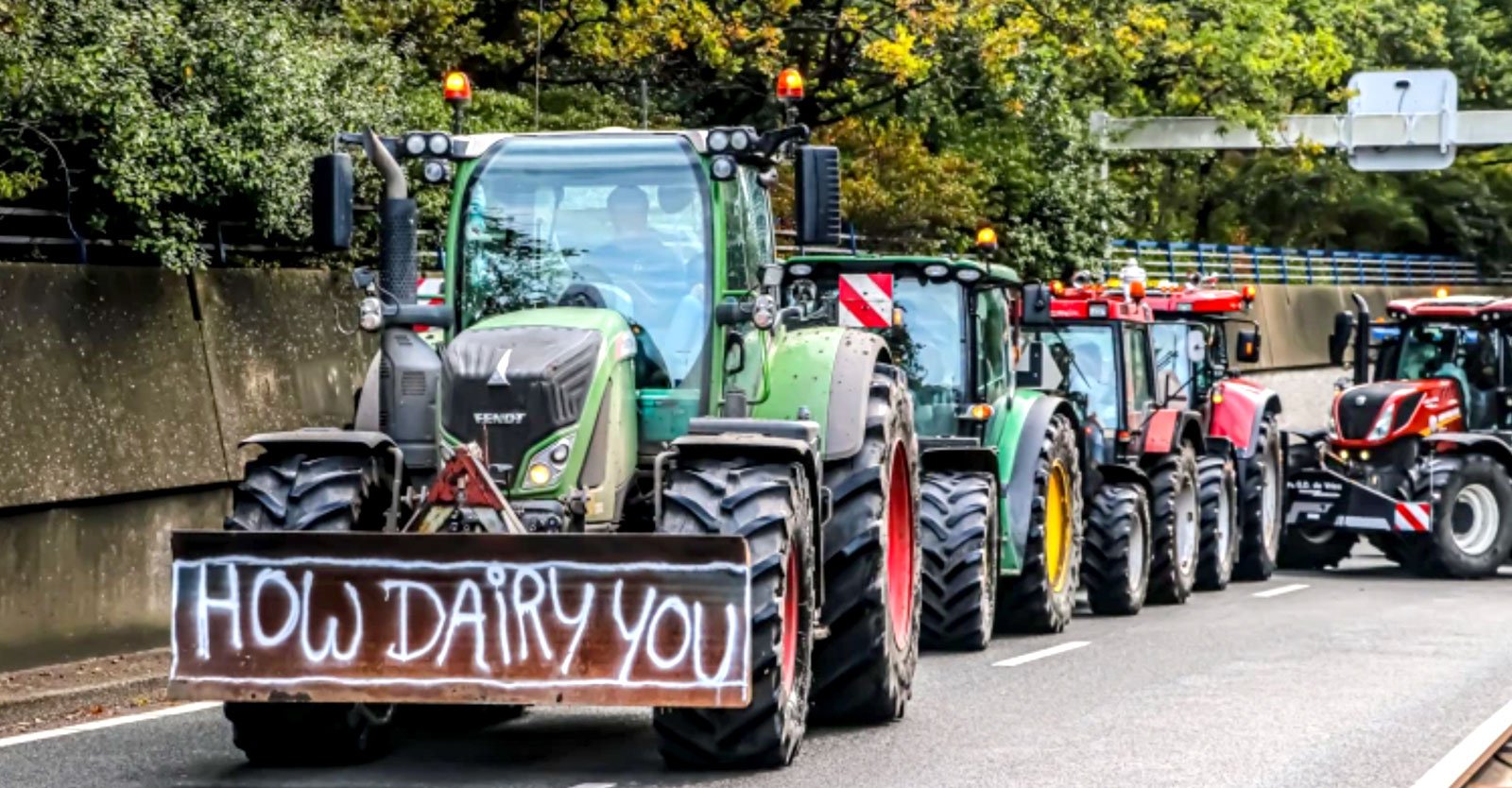 Dutch Farmers Protest Climate Policies They Say Could Drive Them Out of ...