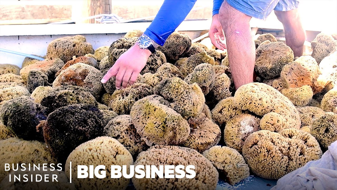 How This Florida Town Became The Sea Sponge Capital Of The World | Big ...
