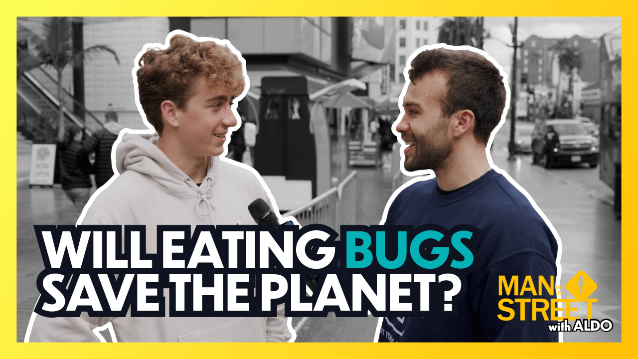 Will Eating Bugs Save the Planet? | PragerU | RallyPoint