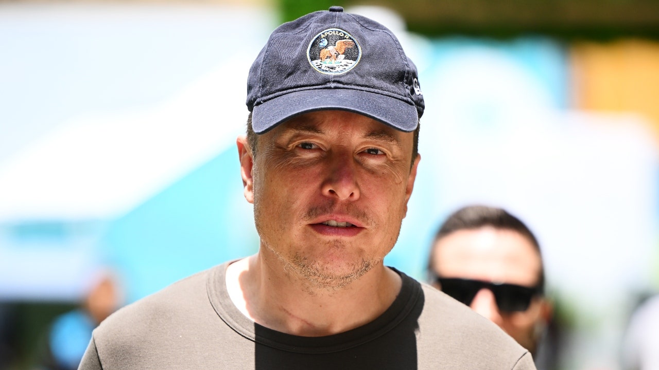 Elon Musk mocks vice president's AI role: 'Maybe someone who can fix ...