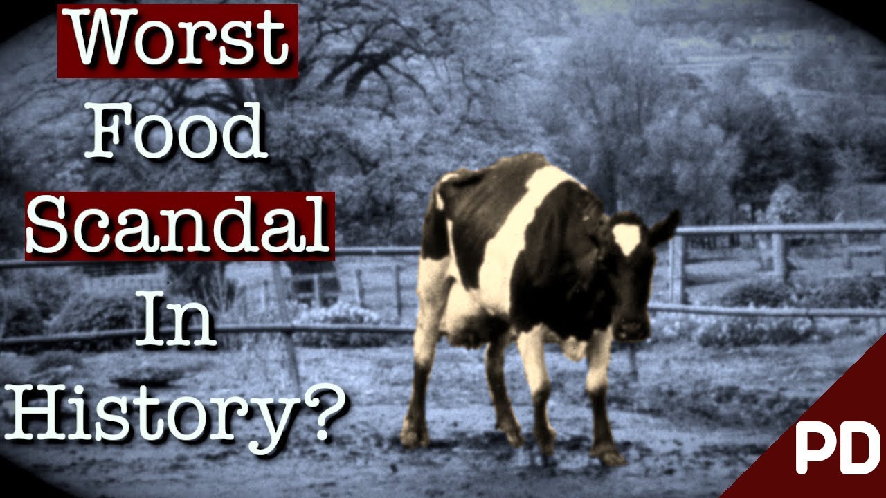 20 Years of Lies: The Mad Cow BSE Scandal | Plainly Difficult ...