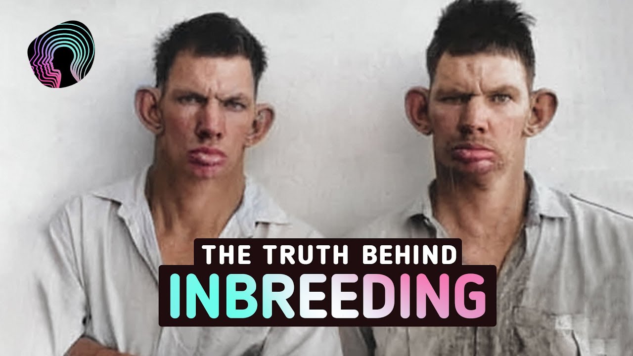 8 Reasons Why You Shouldn't Inbreed | RallyPoint