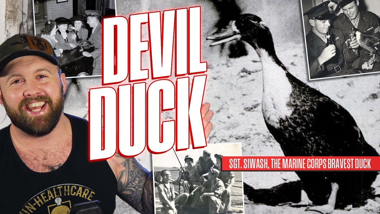 When Marines Took A Duck Into Battle In WW2 - The Devil Duck | RallyPoint