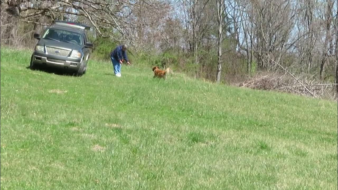 Quicy's training on 24 March 2024 | RallyPoint