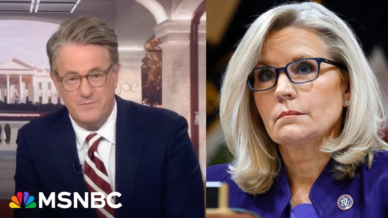 Joe: Cheney is right, we can survive bad policy but not a president ...