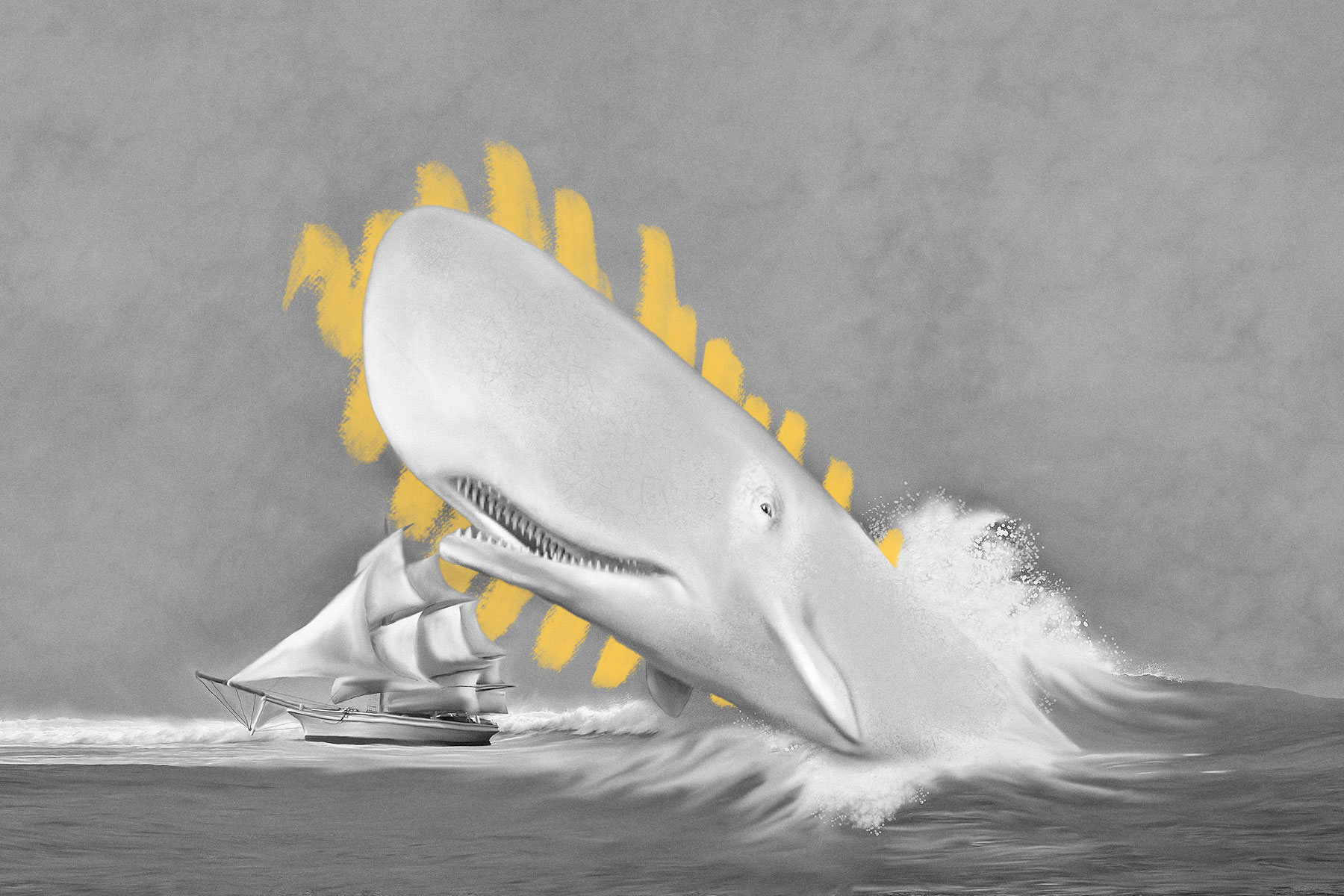 “Moby-Dick” was inspired by a real whale named Mocha Dick. | RallyPoint