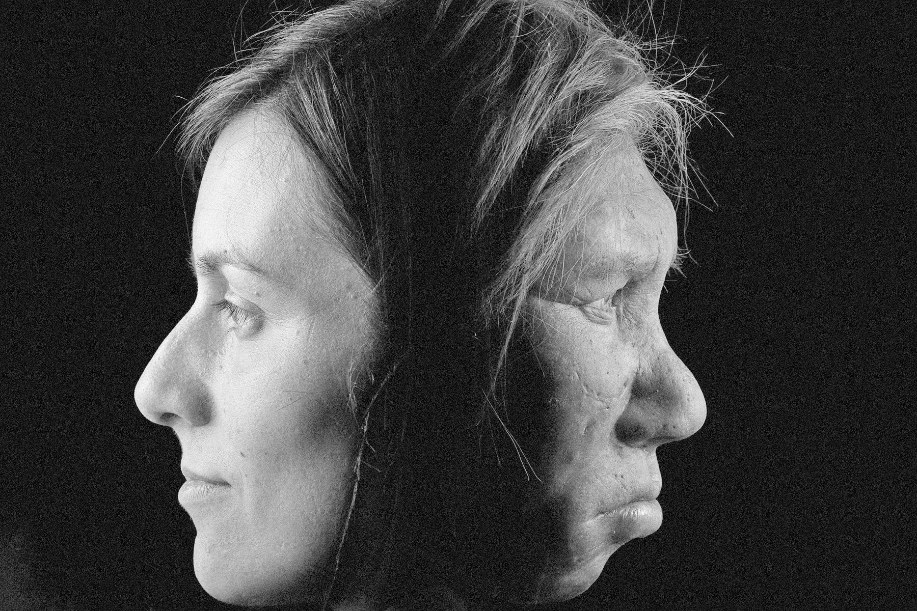 What's the Difference Between Homo Sapiens and Neanderthals? | RallyPoint