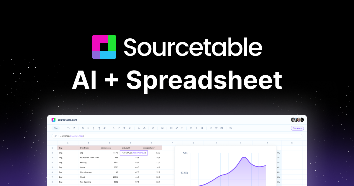 Sourcetable | Your AI Spreadsheet and Data Analyst | RallyPoint