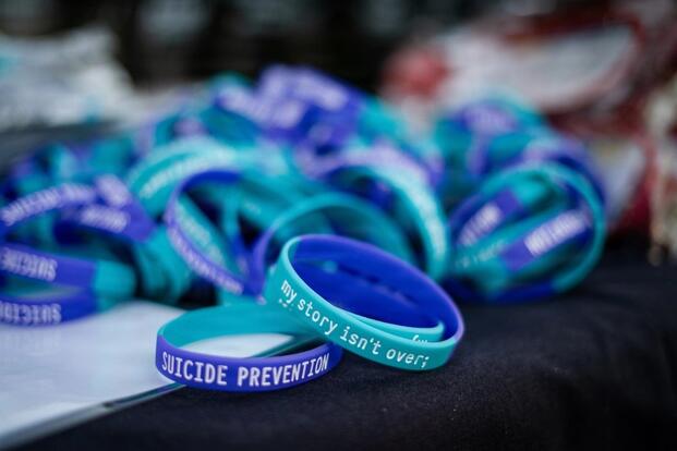 Marine Veteran’s Suicide at VA Hospital Parking Lot Raises Alarm on ...