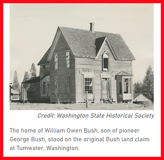 New Washington State University spring wheat variety named for Black ...