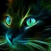 Kim Bordeaux - SPC, 95B Army | RallyPoint Veteran Profile